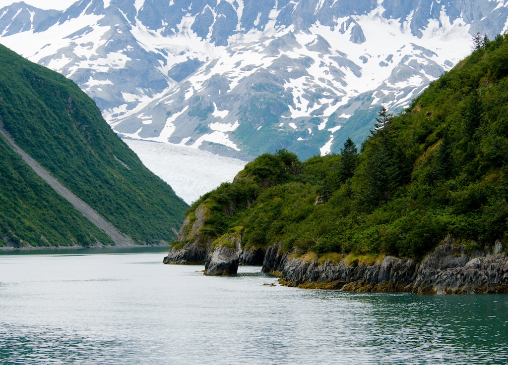 Seward, Alaska Shore Excursions | Wildlife, Glaciers and Fishing