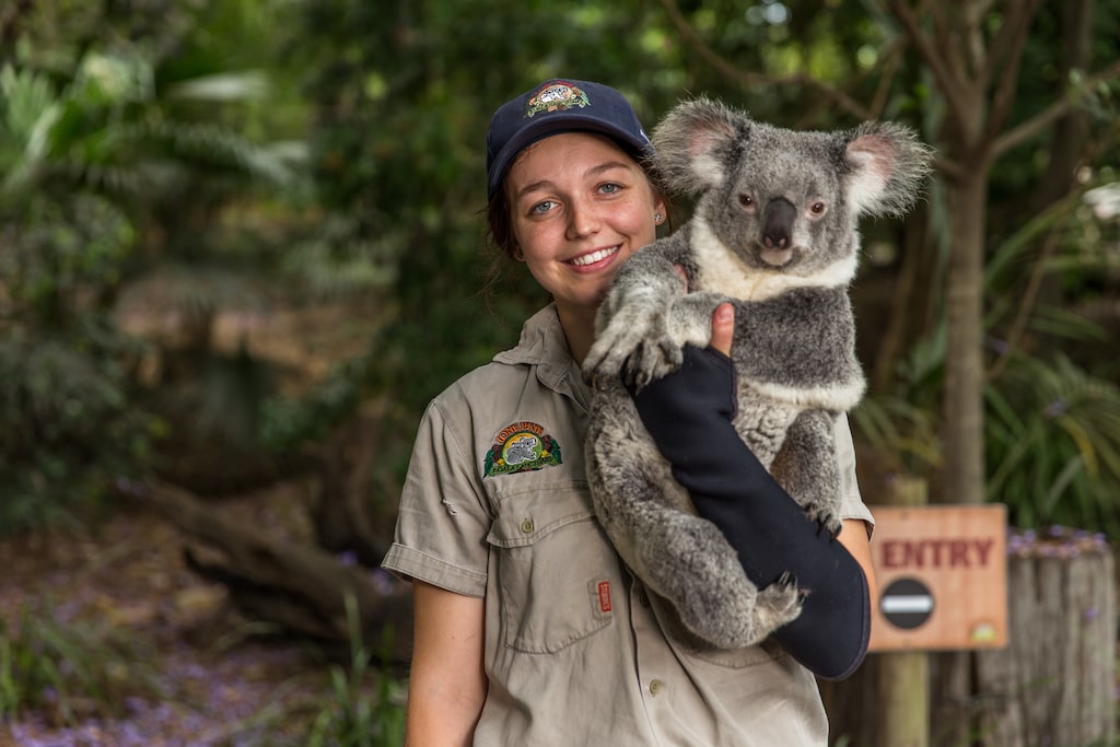 Best Brisbane, Australia Shore Excursions & Tours