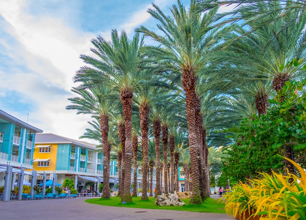 10 Amazing Things Grand Cayman Is Known For