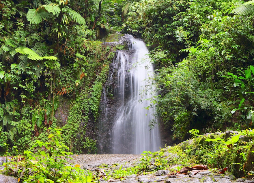The Best Time to Visit Martinique: A Seasonal Guide
