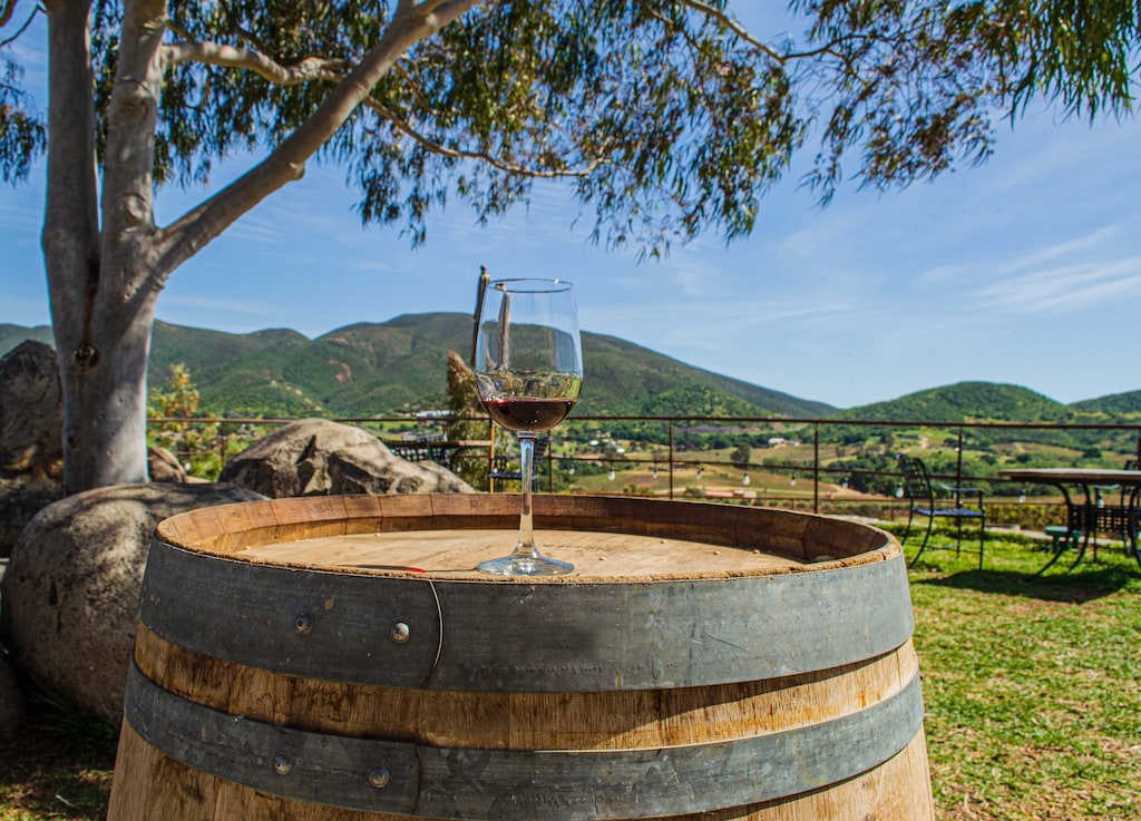 Best Wine Tasting Tours in Ensenada
