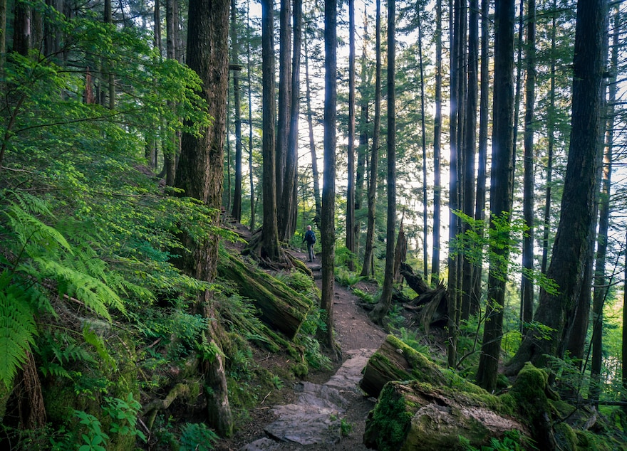 The Best Time to Visit Ketchikan: A Seasonal Guide