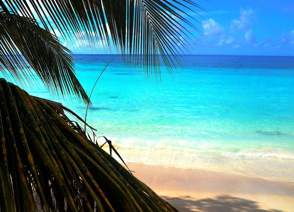 The Best Time to Visit Martinique: A Seasonal Guide