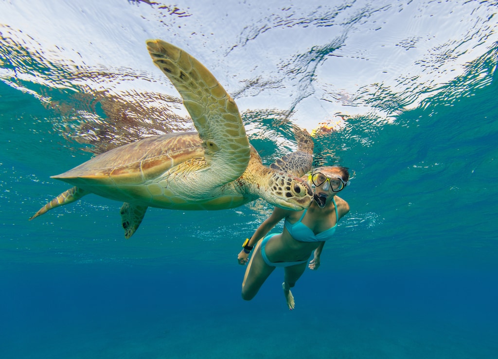 Adventure Excursions in Bridgetown, Barbados