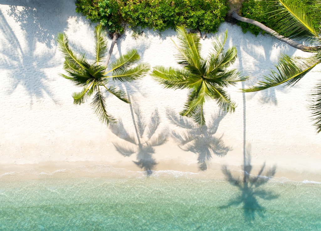 Best Caribbean Islands to Visit in January