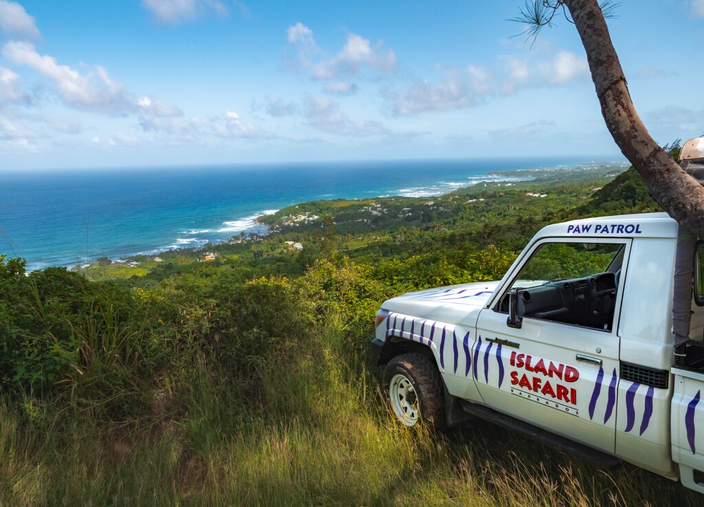 Top 7 Caribbean Safaris | Explore the Best Safari Adventures in the ...