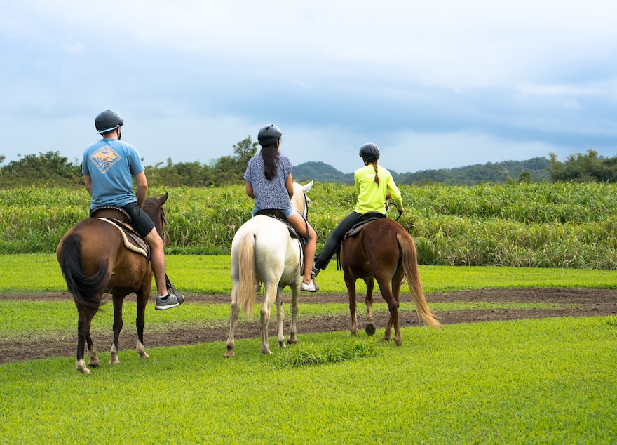 Top 7 Horseback Riding Tours in the Caribbean | Explore Beaches ...