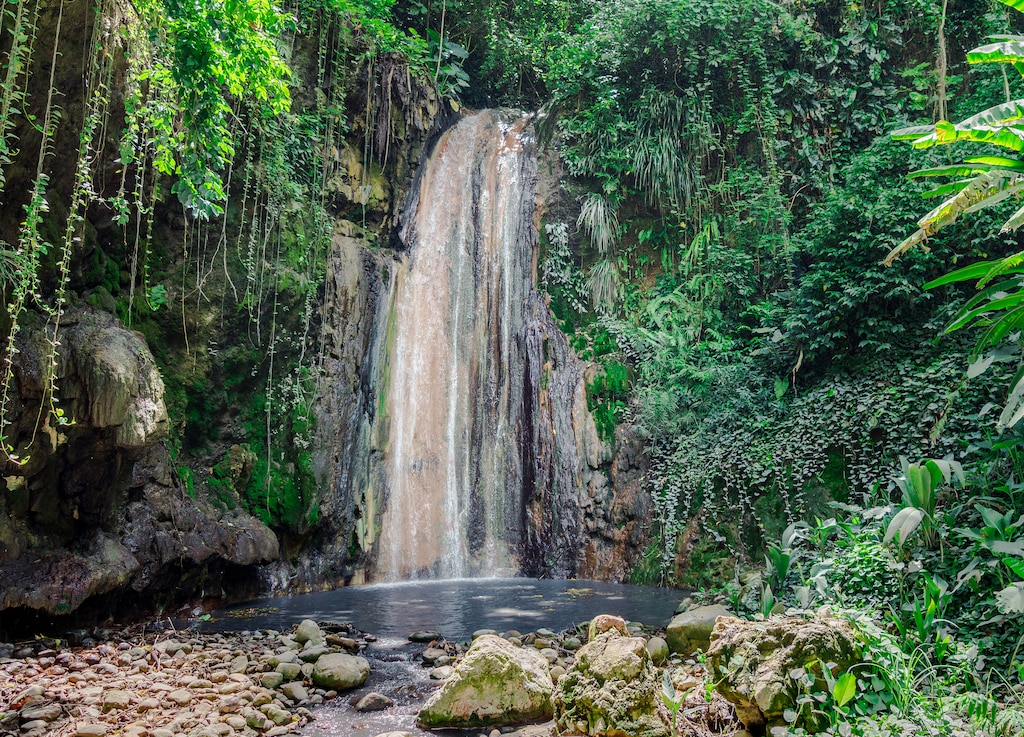 Best Caribbean Waterfalls Taranaki Falls Walk Best Hikes In North