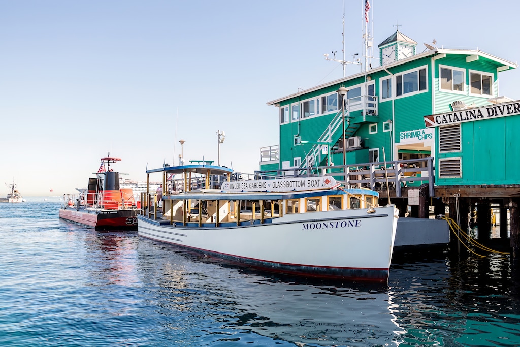 10 Amazing Things Catalina Island is Known For