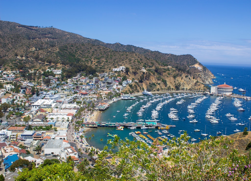 The Best Time to Visit Catalina Island: A Seasonal Guide