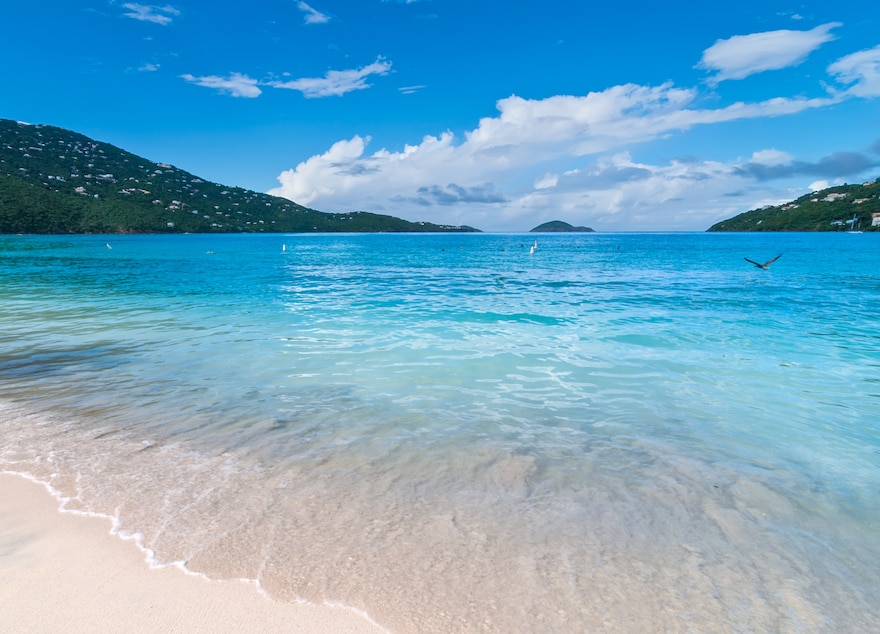 Best Beaches in St. Thomas for Families, Snorkeling & More