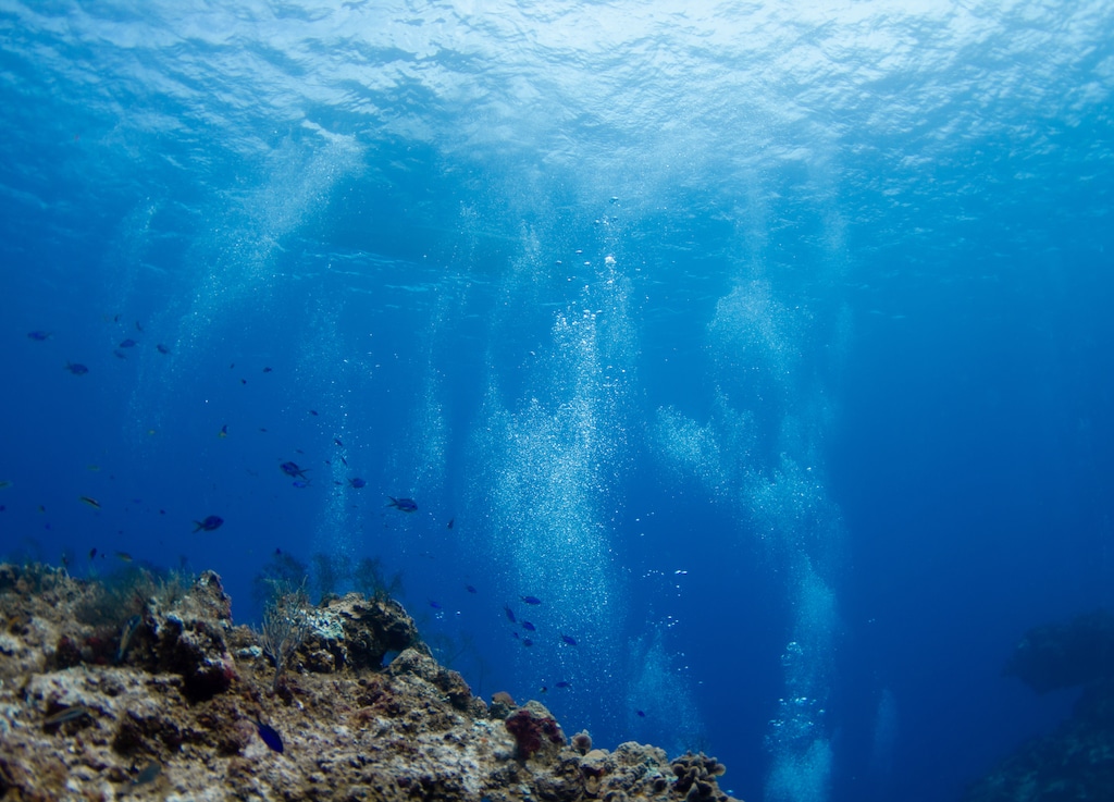 10 Amazing Things Cozumel is Known For