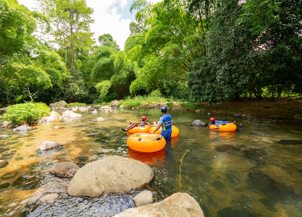 Adventure Excursions in Falmouth, Jamaica