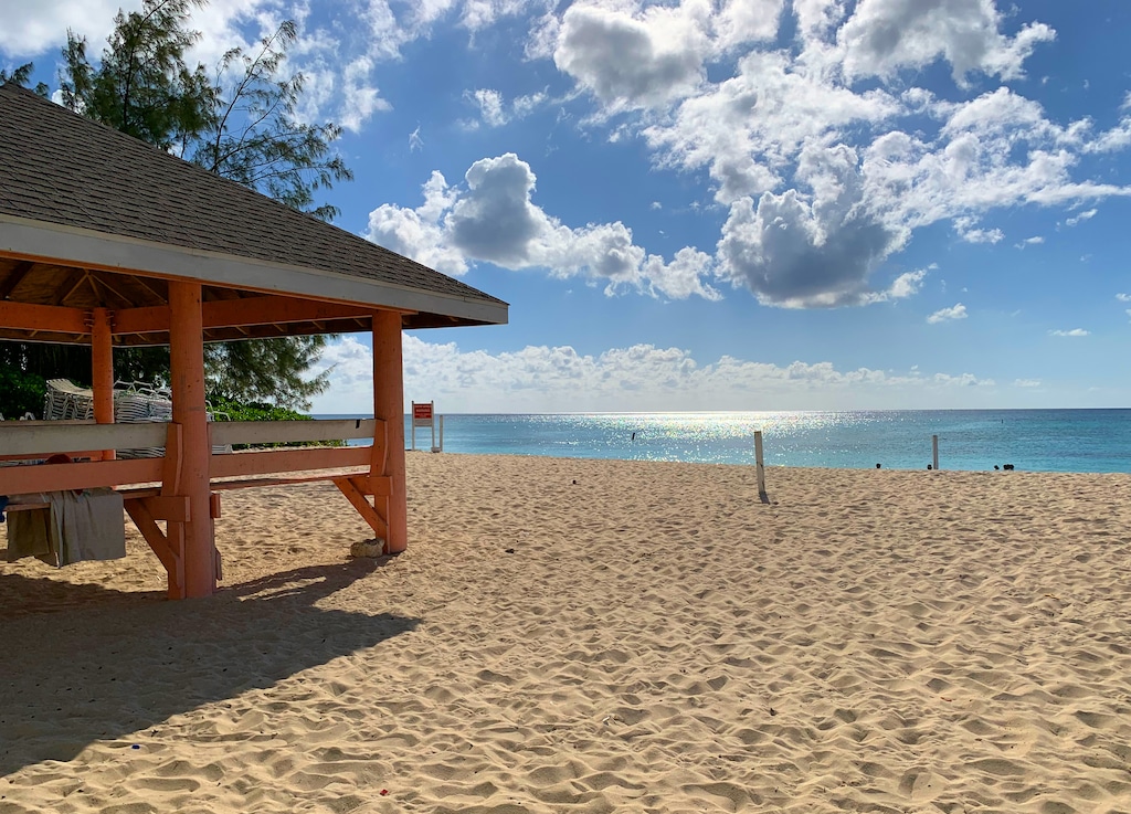 Explore Grand Cayman's Beach Excursions: Seven Mile Beach and Coral Beach