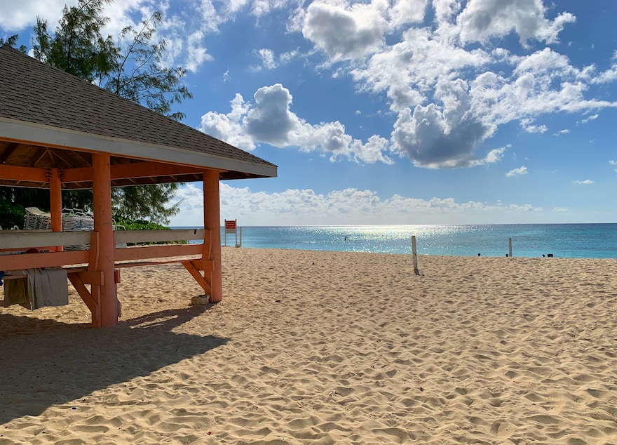 Explore Grand Cayman's Beach Excursions: Seven Mile Beach and Coral Beach