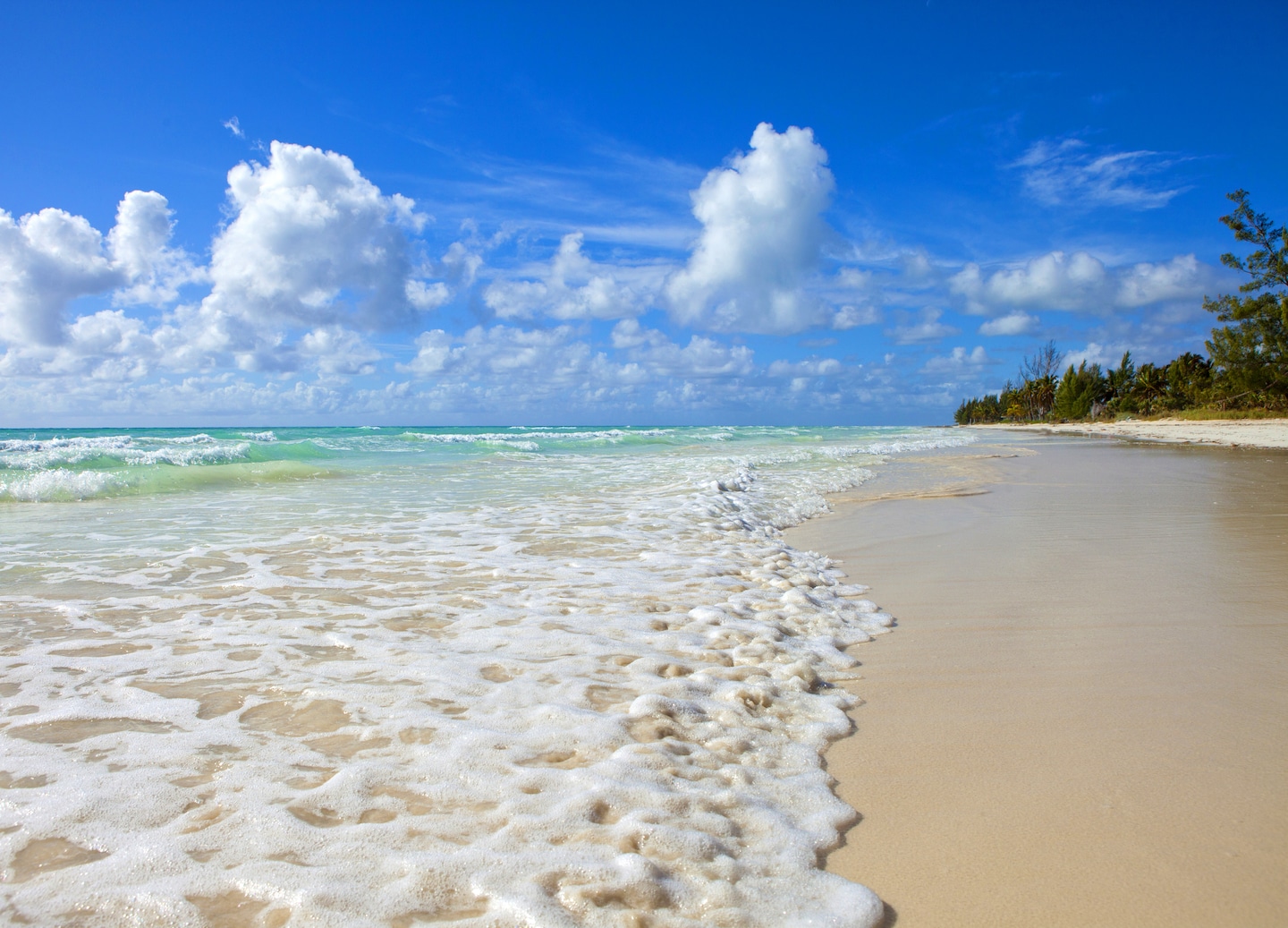 10 Amazing Things Grand Bahama Island is Known For