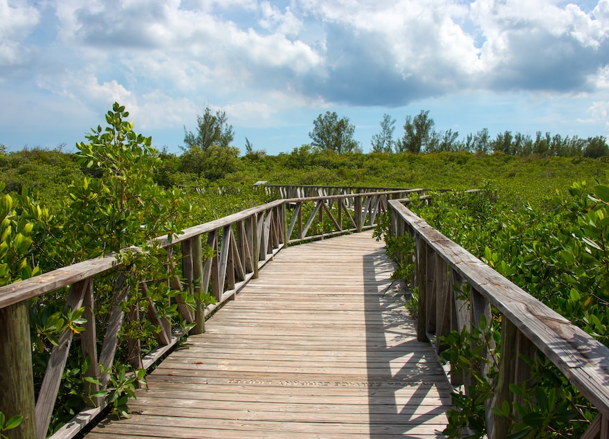 Grand Bahama Island, Bahamas Shore Excursions