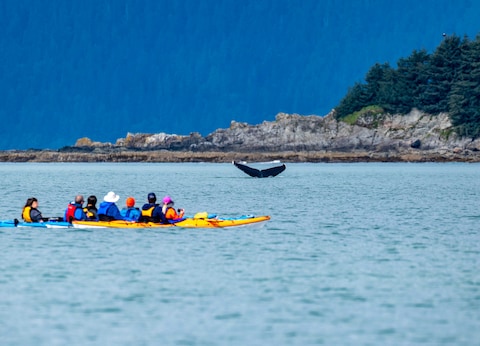 Adventure Excursions in Juneau, Alaska