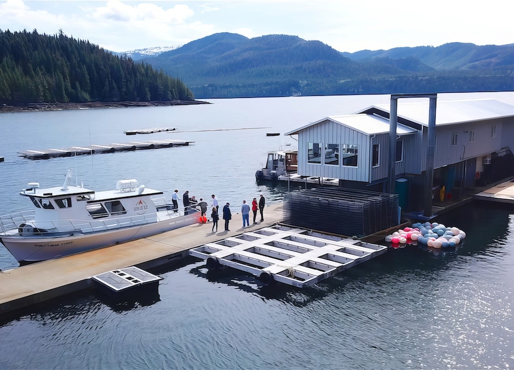 Wildlife Excursions in Ketchikan, Alaska