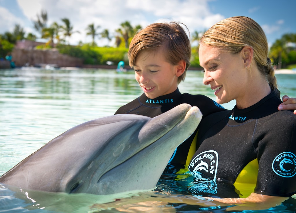 Atlantis Paradise Island Excursions: Aquaventure Waterpark & Dolphin Swim