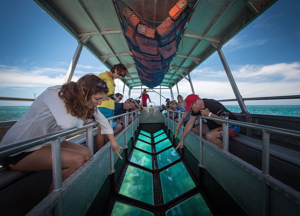 Top 6 Glass Bottom Boat Tours in the Caribbean