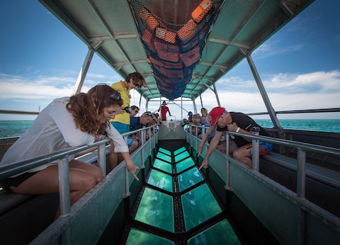 Top 6 Glass Bottom Boat Tours in the Caribbean