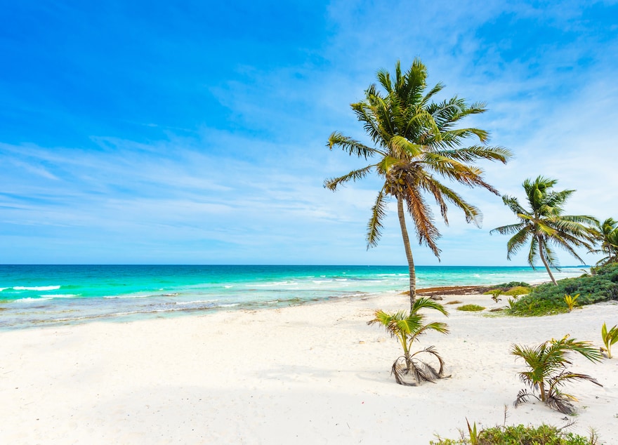 Discover Beach Excursions in Puerto Costa Maya | Adventure & Relaxation