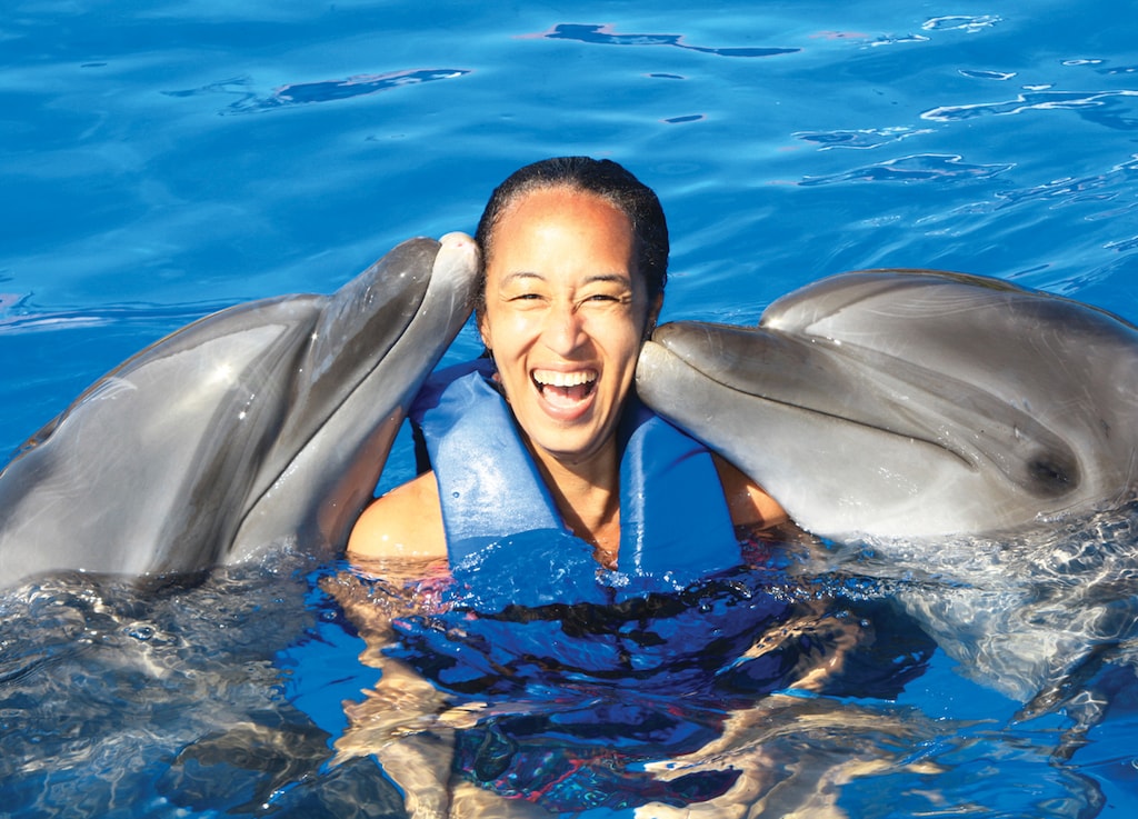 Swim With Dolphins in Cabo San Lucas