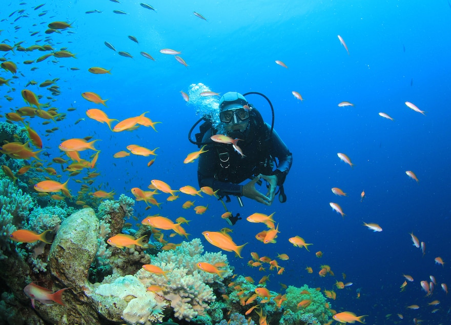 The Best Time to Visit Roatan: A Seasonal Guide