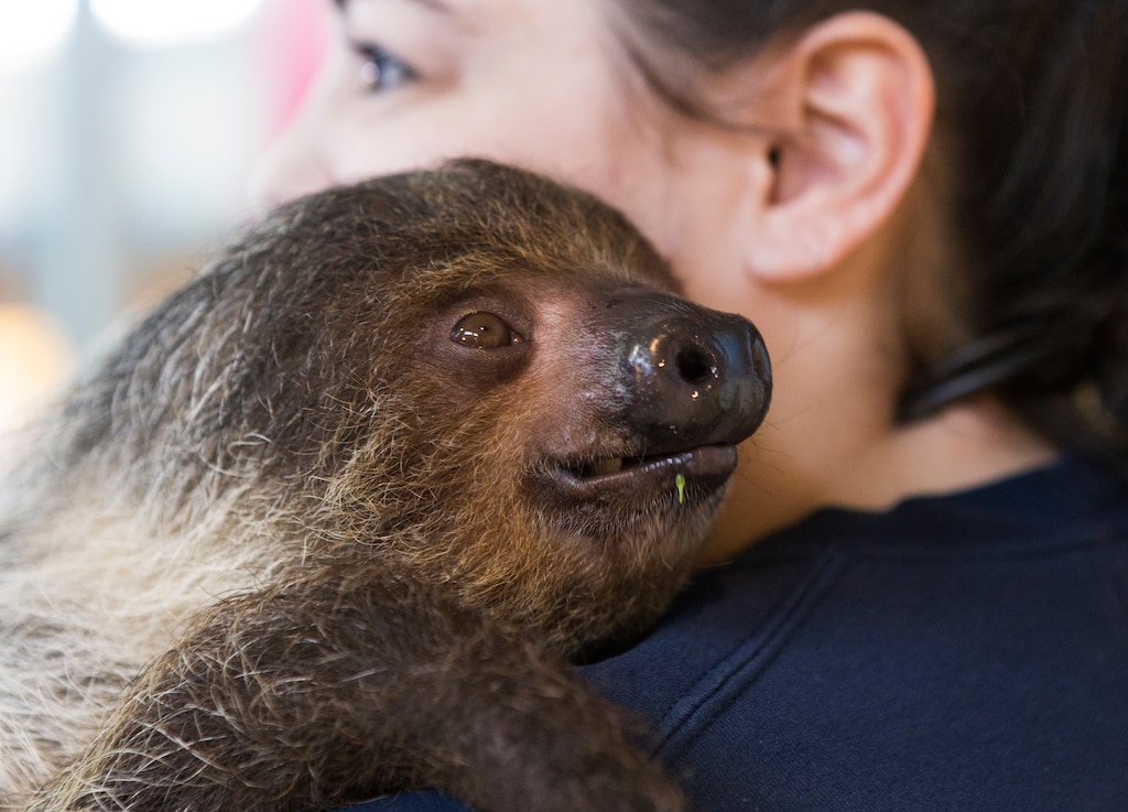 10 Amazing Things Roatan is Known For