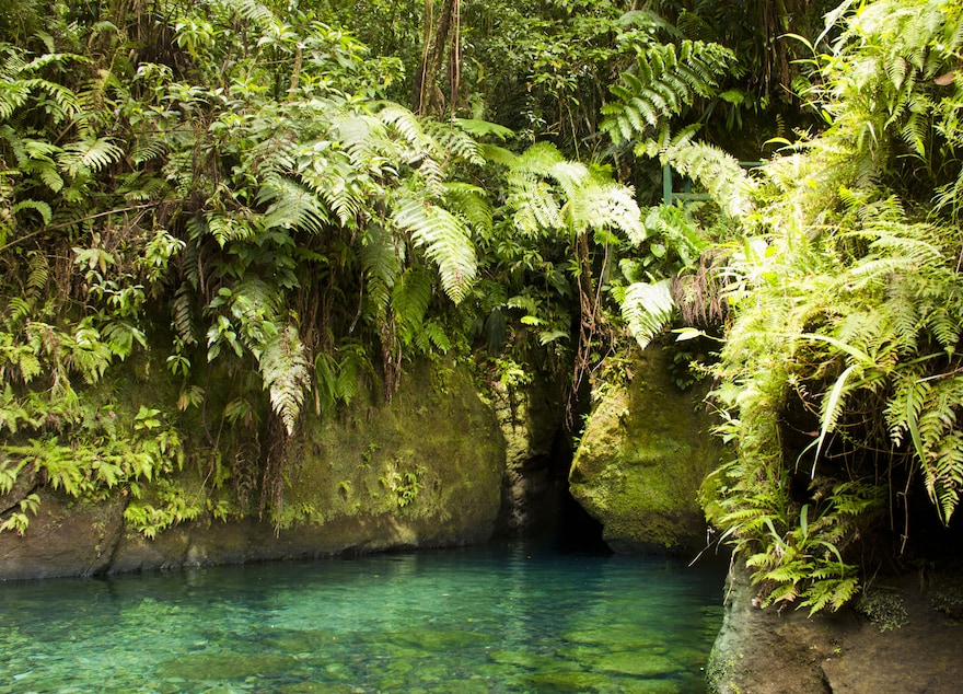 Roseau, Dominica Shore Excursions
