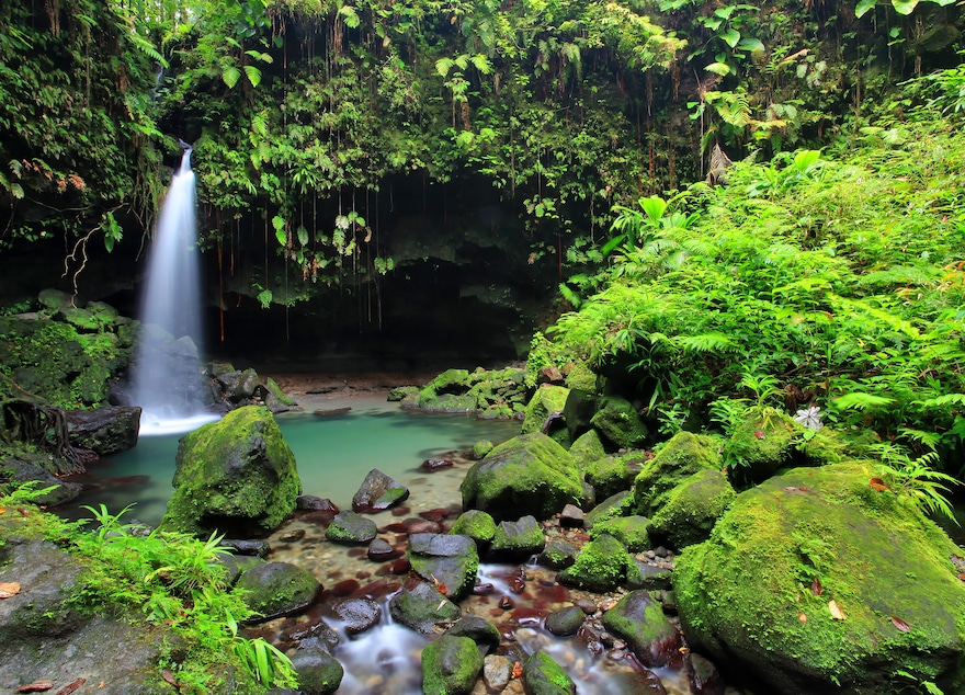 Roseau, Dominica Shore Excursions