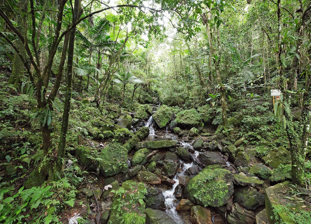 San Juan, Puerto Rico Shore Excursions