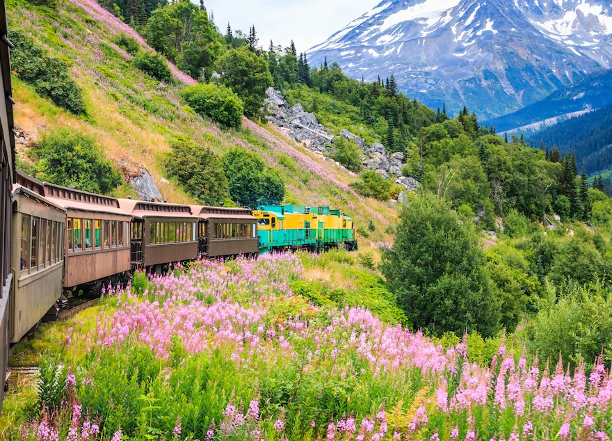 Skagway, Alaska Shore Excursions | Adventure, Wildlife & History